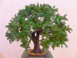 Dollhouse Furniture and Accessories For Sale | Virtual Dollhouse ...